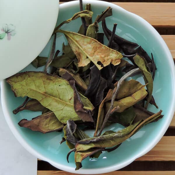 MIST Tea - PROEFPAKKET - 4 SOORTEN | Moment Content